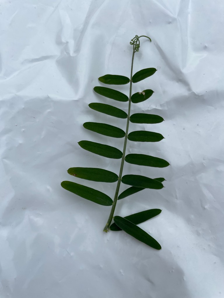 Seward: This week’s photos and highlights – The Seward Folly